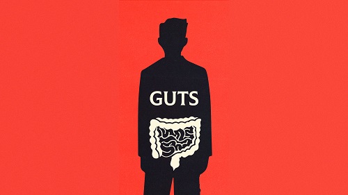 GUTS | GeekChocolate